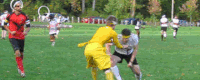 Quidditch GIFs - Get the best gif on GIFER