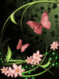 Butterflys GIFs - Get the best gif on GIFER