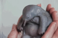 Correction GIFs - Get the best gif on GIFER