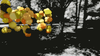 Principais titulos GIF - Conseguir o melhor gif em GIFER