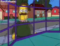 Homero simpson GIFs - Get the best gif on GIFER