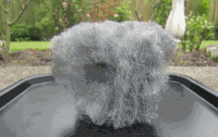 Wool GIFs - Get the best gif on GIFER