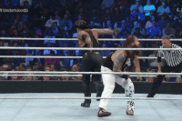 Undertaker GIFs - Get the best gif on GIFER