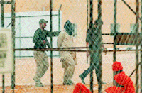 Zdt GIFs - Get the best gif on GIFER