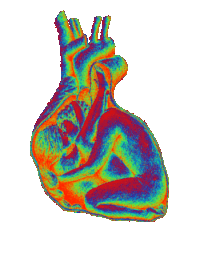 Beacon GIFs - Get the best gif on GIFER