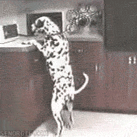Thief GIFs - Get the best gif on GIFER