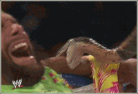 Wrestling GIFs - Get the best gif on GIFER