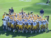 Huddled GIFs - Get the best gif on GIFER