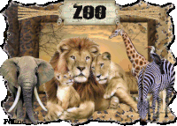 Zoos GIFs - Get the best gif on GIFER