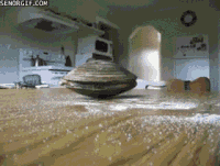 Clam GIFs - Get the best gif on GIFER