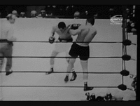 Cotto GIFs - Get the best gif on GIFER