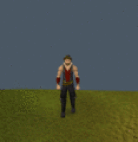 Runescape GIFs - Get the best gif on GIFER