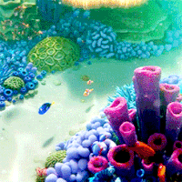 Nemo GIFs - Get the best gif on GIFER