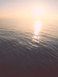 Sunshine GIFs - Get the best gif on GIFER