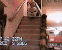 Disappoint GIFs - Get the best gif on GIFER