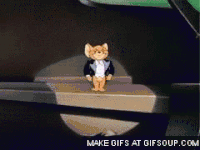Jerry GIFs - Get the best gif on GIFER