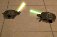 Sabre GIFs - Get the best gif on GIFER