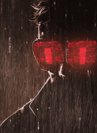 Beer goggles GIF - Conseguir o melhor gif em GIFER