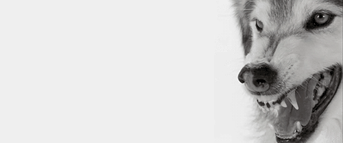 Fearce GIFs - Get the best gif on GIFER