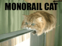 Motorboating GIFs - Get the best gif on GIFER