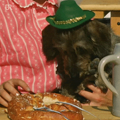 Brezel GIFs - Get the best gif on GIFER