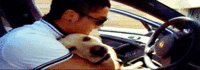 Srce GIFs - Get the best gif on GIFER