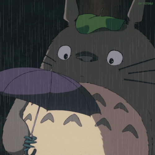 Theindextotoro GIF - Conseguir o melhor gif em GIFER