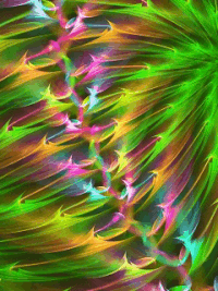 Colourful GIFs - Get the best gif on GIFER