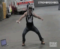 Stromberg GIFs - Hole dir die besten GIFs auf GIFER