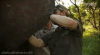 Poaching GIFs - Get the best gif on GIFER