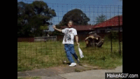 Aussie GIFs - Get the best gif on GIFER
