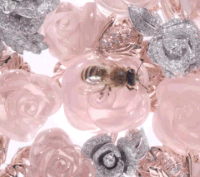 Christian dior GIFs - Get the best gif on GIFER