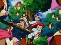 Pidgeotto GIFs - Get the best gif on GIFER