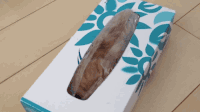 Tissue GIFs - Get the best gif on GIFER
