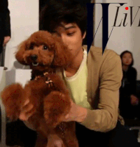 Purgatory GIFs - Get the best gif on GIFER