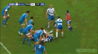 Scotland GIFs - Get the best gif on GIFER