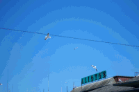 Flotation GIFs - Get the best gif on GIFER