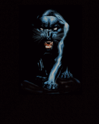 Panther GIFs - Get the best gif on GIFER