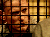 Prisons GIFs - Get the best gif on GIFER