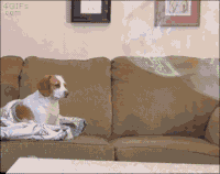 Bummer GIFs - Get the best gif on GIFER