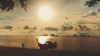 Postal GIFs - Get the best gif on GIFER