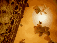 Speedwagon GIFs - Get the best gif on GIFER