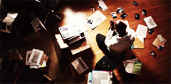 Chestnut GIFs - Get the best gif on GIFER