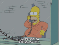 Snitching GIFs - Get the best gif on GIFER