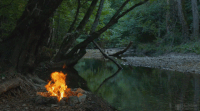 Campfire GIFs - Get the best gif on GIFER
