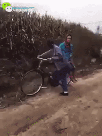 Bicycle GIFs - Get the best gif on GIFER
