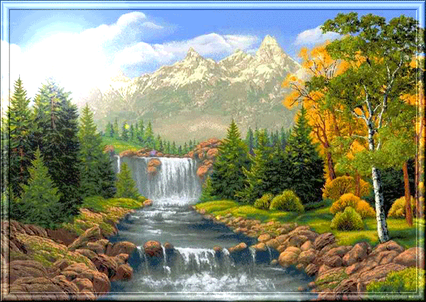 Forest ecology GIFs - Get the best gif on GIFER