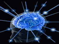 Mind GIFs - Get the best gif on GIFER