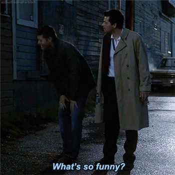 Whats so funny GIF - Conseguir o melhor gif em GIFER