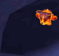 Molten GIFs - Get the best gif on GIFER